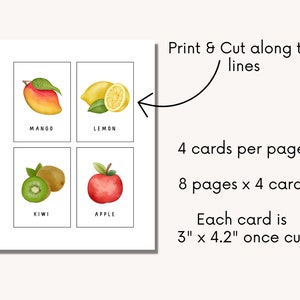 32 Fruits Flashcards Preschool Cards , Educational Printable Cards ...