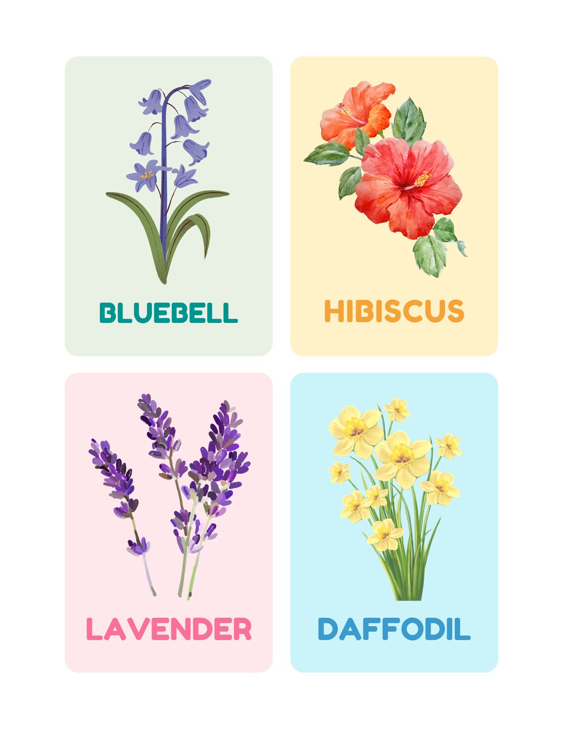 32 Flowers Flashcards, Flower Vocabulary Nature Cards,printable ...
