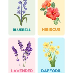 32 Flowers Flashcards, Flower Vocabulary Nature Cards, Printable ...