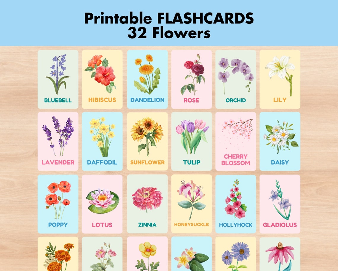 32 Flowers Flashcards, Flower Vocabulary Nature Cards,printable ...