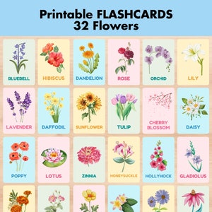 32 Flowers Flashcards, Flower Vocabulary Nature Cards, Printable ...