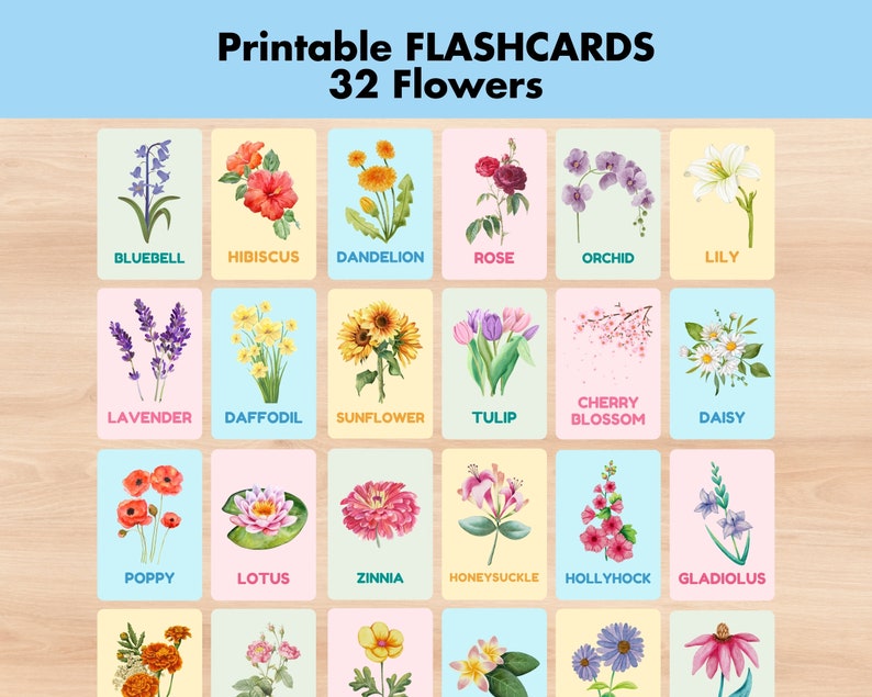 32 Flowers Flashcards, Flower Vocabulary Nature Cards,printable ...