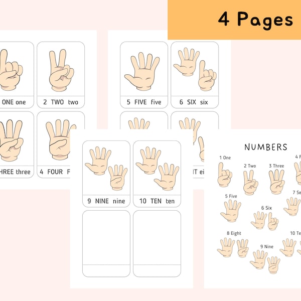 Number Flash Cards - Etsy