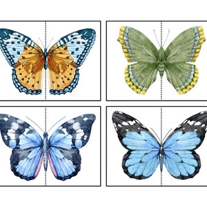 40 Butterfly Matching Card Game, Symmetry Puzzle, Butterfly Pattern ...