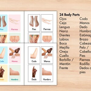 Spanish Body Parts Flashcards With Real Photos for Kids Learning ...