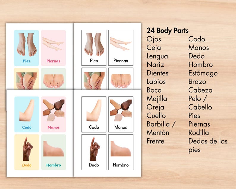 Spanish Body Parts Flashcards With Real Photos for Kids Learning ...