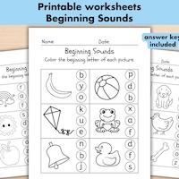 Beginning Sound Clip Card Activity - Uppercase & Lowercase Bundle, Fine ...