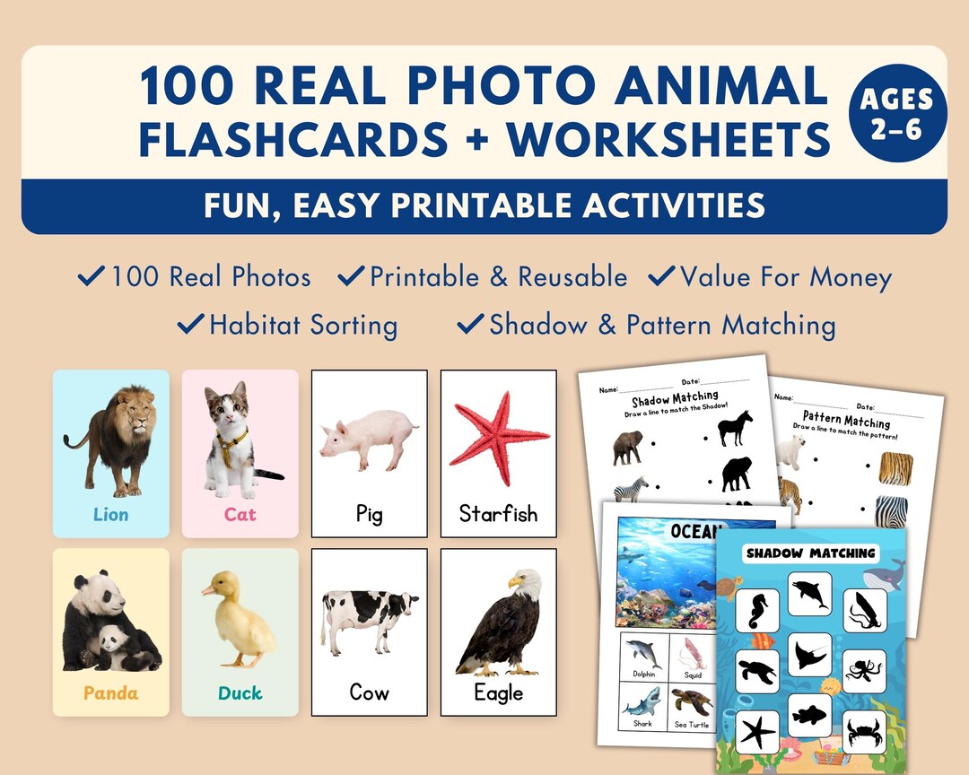 100 Real Photo Animals Flashcard for Kids, Montessori Toddler Activity ...
