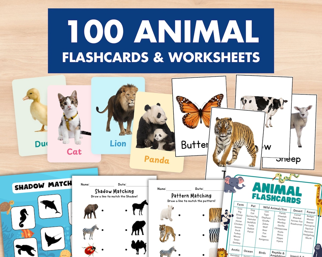 100 Real Photo Animals Flashcard for Kids, Montessori Toddler Activity ...
