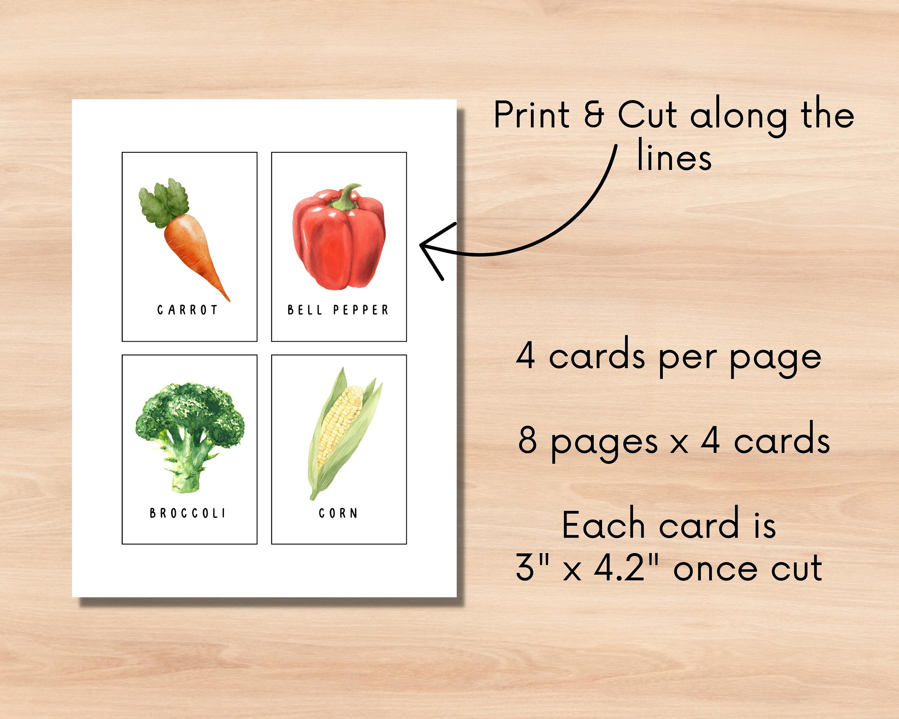 Vegetable Flashcards, Printable Vocabulary Cards, Homeschool Activities ...