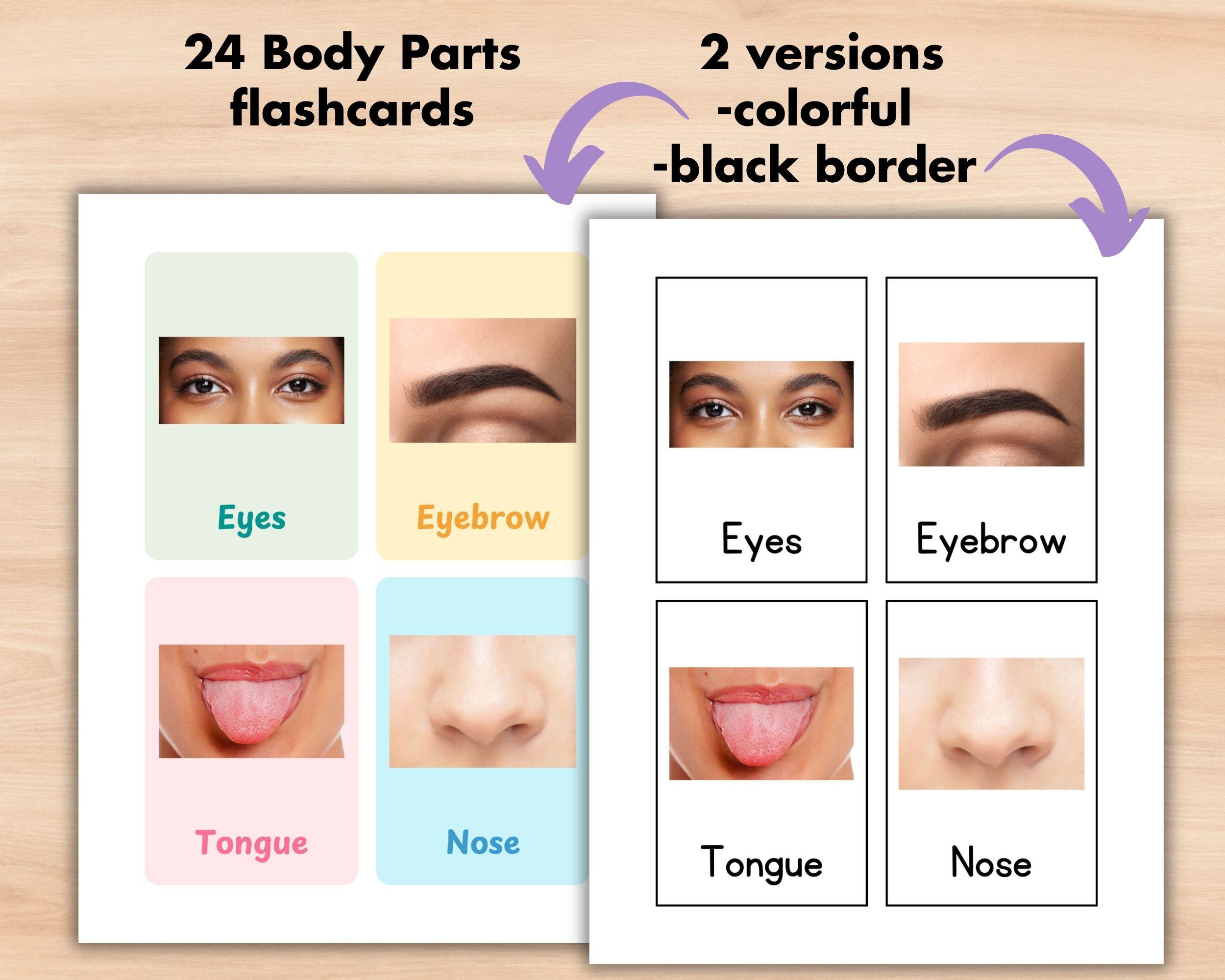24 Body Parts Flashcards, Printable Bodyparts Flash Cards, Real Photo ...