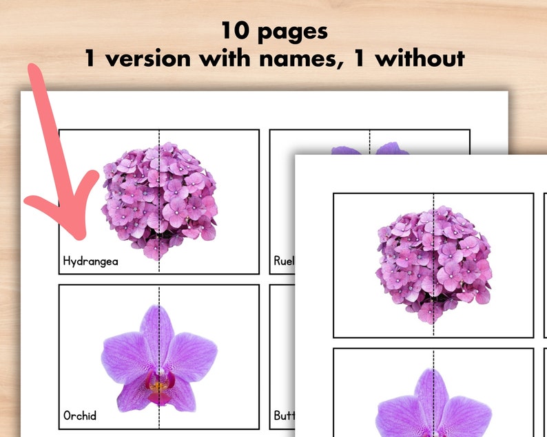 40 Real Flowers Matching Game for Kids, Symmetry Puzzle,match Picture ...