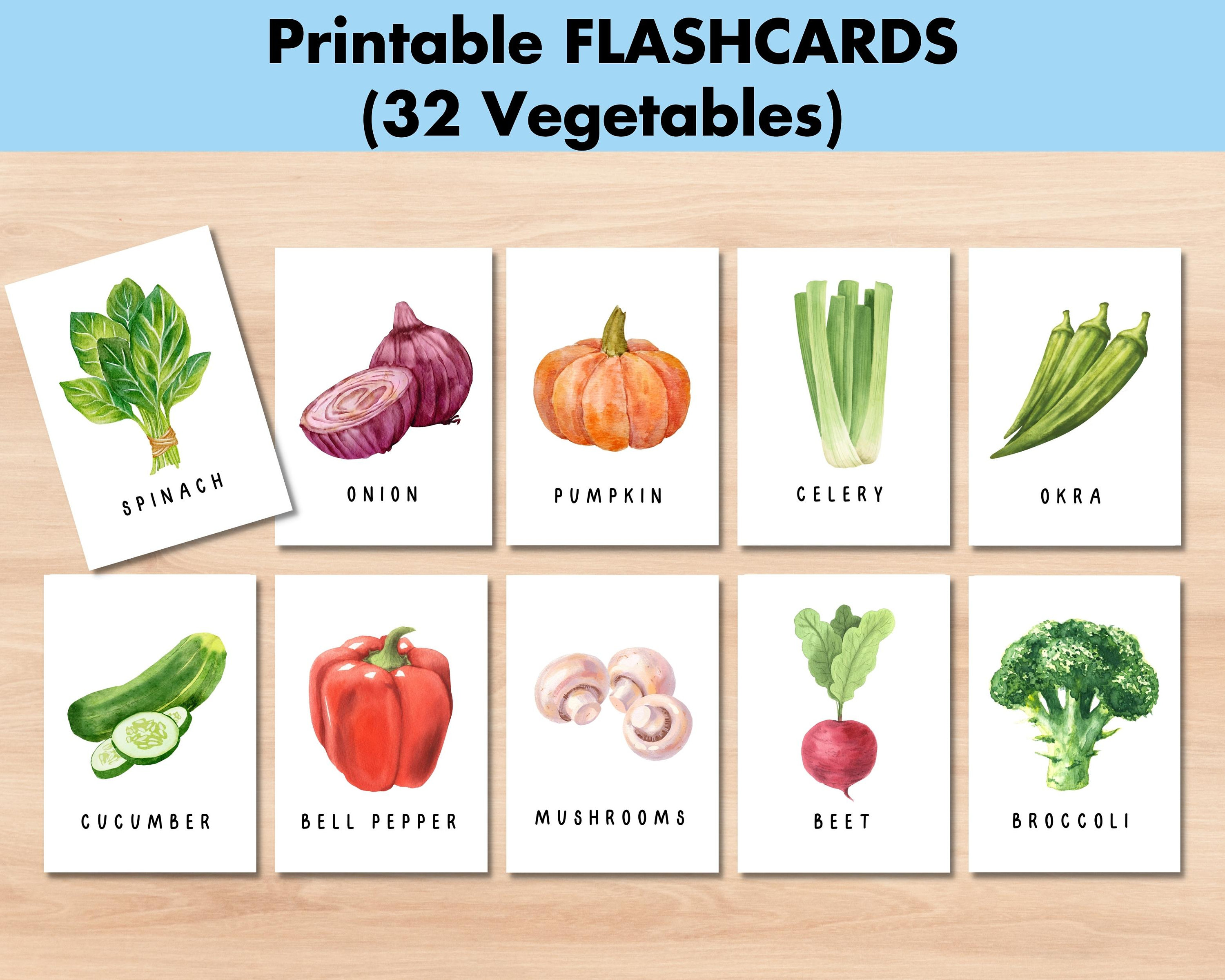 Vegetable Flashcards Printable Vocabulary Cards Homeschool - Etsy