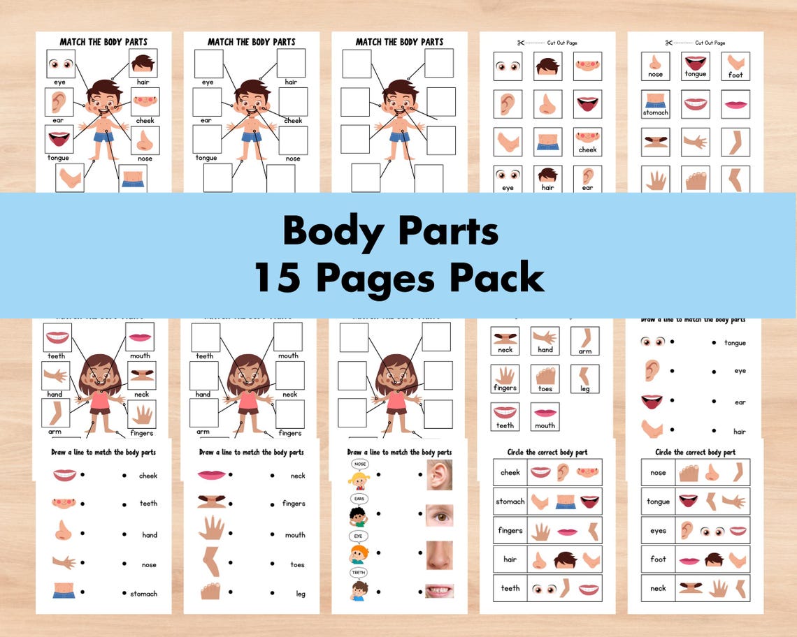 Body Part Matching Game, Toddler Busy Book Page, Instant Download ...