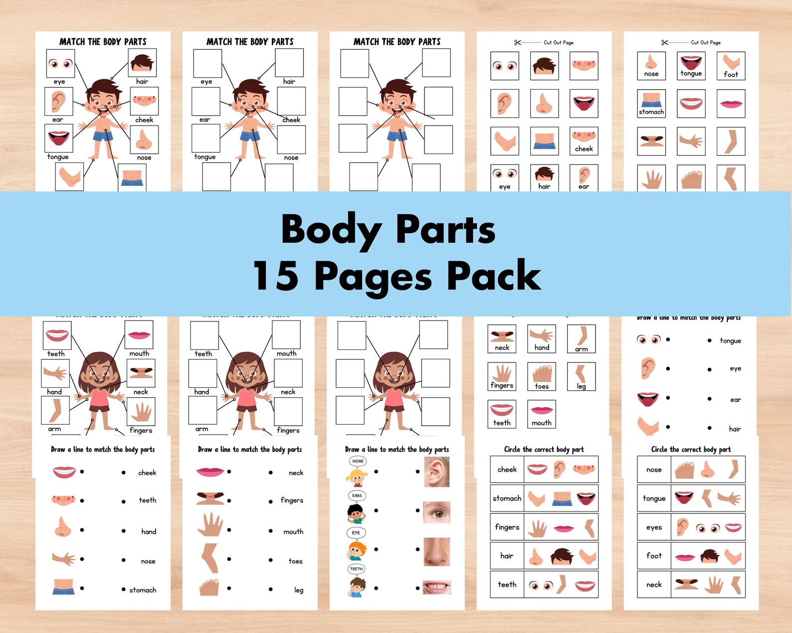 Body Part Matching Game, Toddler Busy Book Page, Instant Download ...