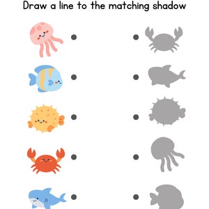 Shadow Matching Worksheets, Match the Picture, Kindergarten Preschool ...