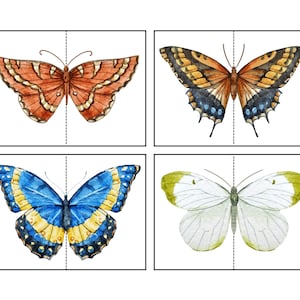 40 Butterfly Matching Card Game, Symmetry Puzzle, Butterfly Pattern ...