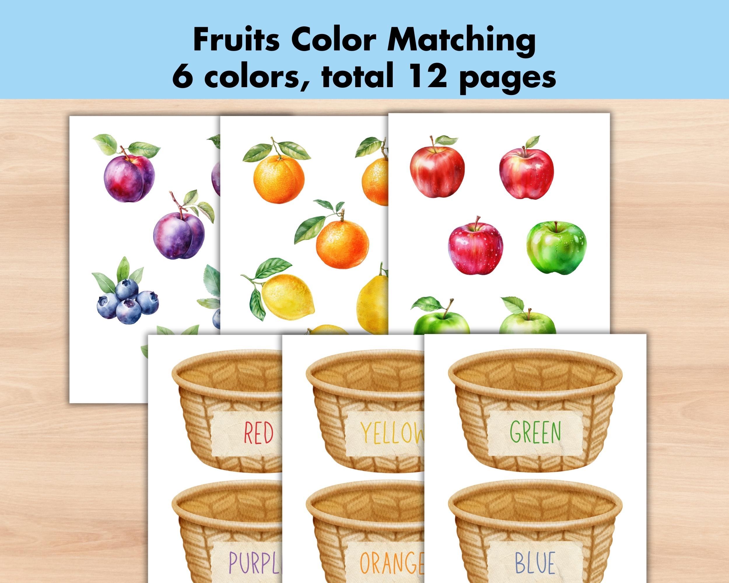 Fruits Color Matching Game, Toddler Montessori Sorting Activity Busy ...