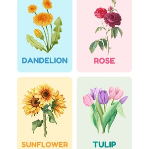 32 Flowers Flashcards, Flower Vocabulary Nature Cards,printable ...