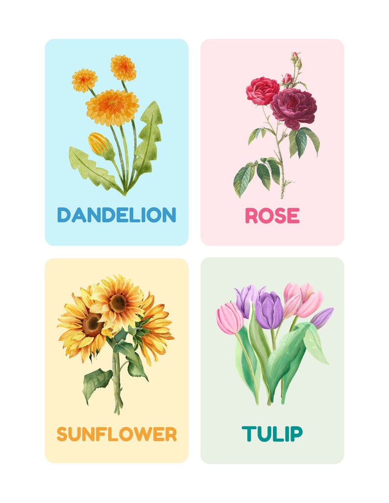 32 Flowers Flashcards, Flower Vocabulary Nature Cards, Printable ...