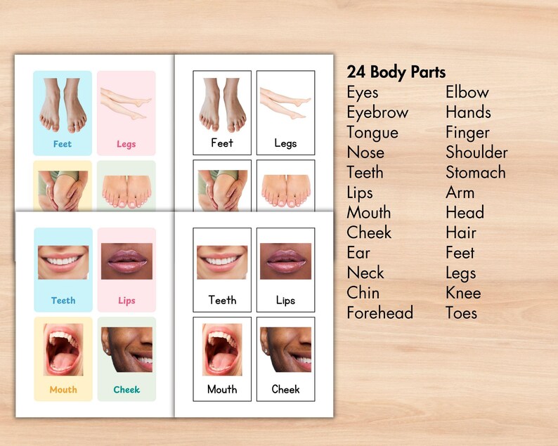 24 Body Parts Flashcards, Printable Bodyparts Flash Cards, Real Photo ...
