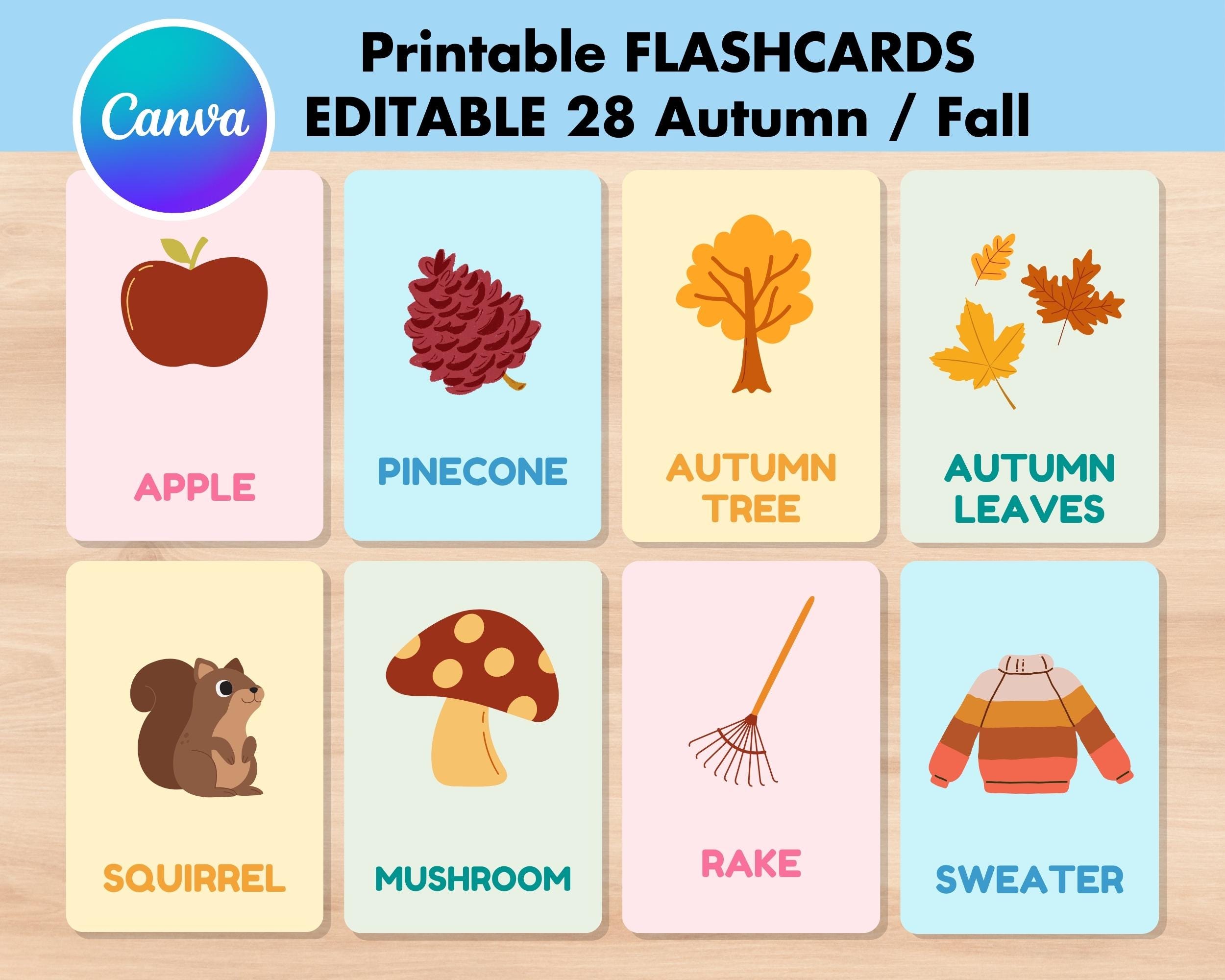 Canva EDITABLE 28 Autumn Flashcards, Fall Vocabulary Nature Card ...