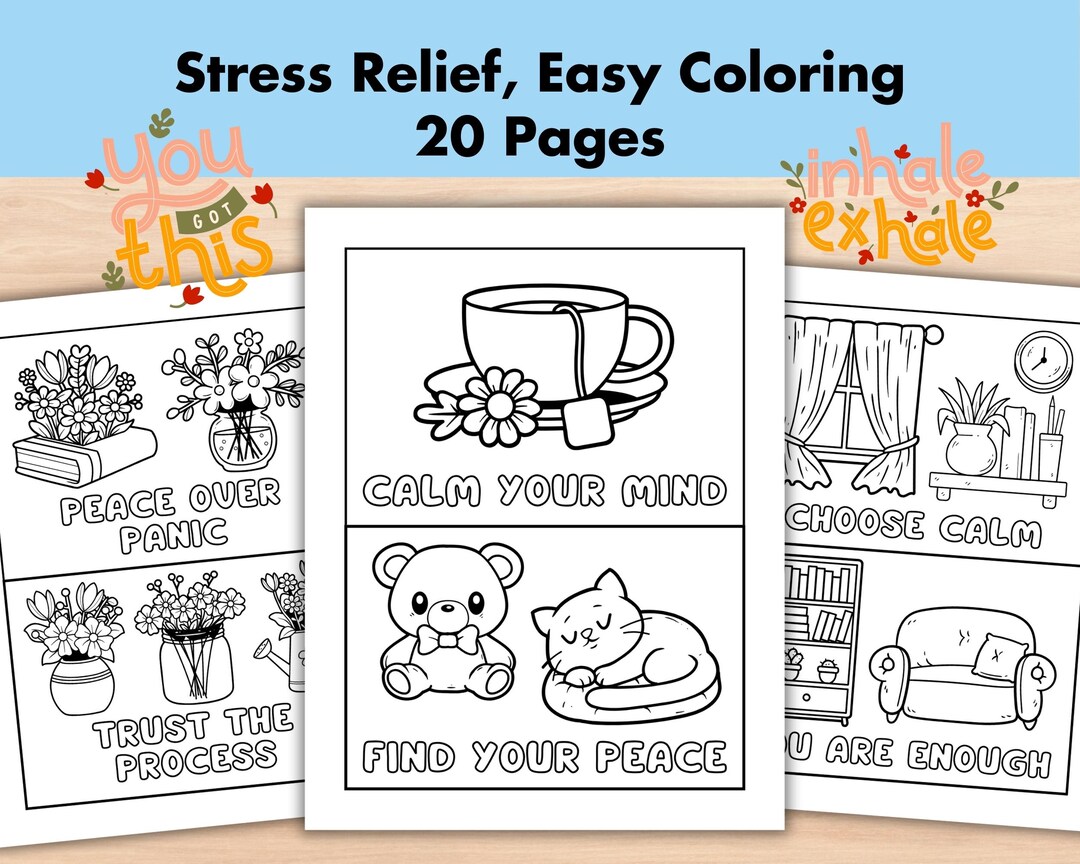 20 Coloring Pages Bold for Adults, Easy Stress Relief Simple Relaxing ...