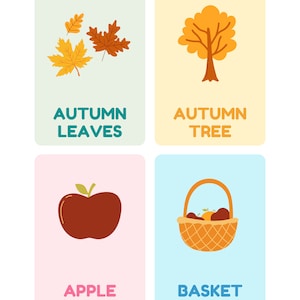 28 Autumn Flashcards, Fall Vocabulary Nature Cards, Printable ...