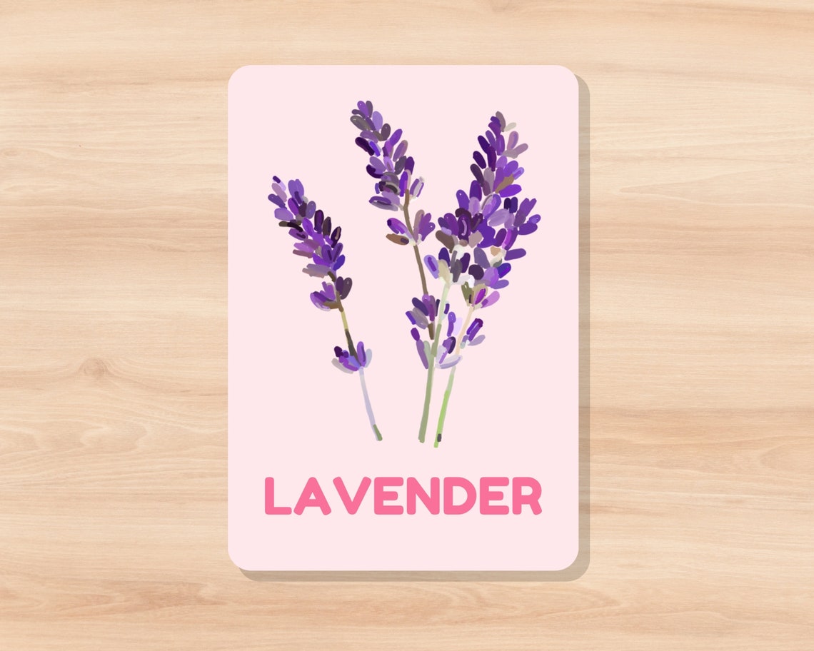 32 Flowers Flashcards, Flower Vocabulary Nature Cards,printable ...