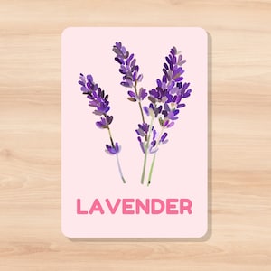 32 Flowers Flashcards, Flower Vocabulary Nature Cards,printable ...