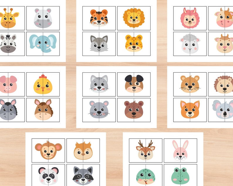 32 Animals Matching Game for Kids, Symmetry Puzzle, Match Picture Card ...