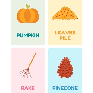 28 Autumn Flashcards, Fall Vocabulary Nature Cards, Printable ...