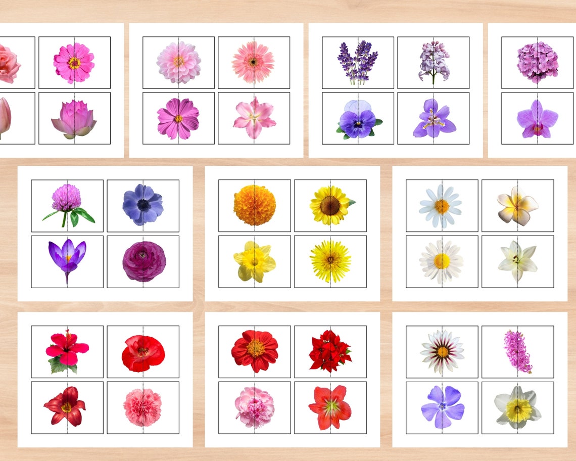 40 Real Flowers Matching Game for Kids, Symmetry Puzzle,match Picture ...