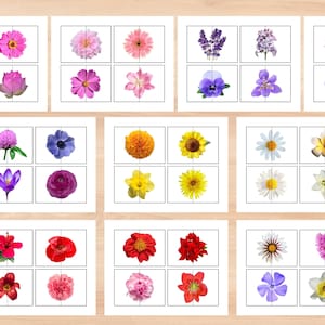 40 Real Flowers Matching Game for Kids, Symmetry Puzzle,match Picture ...