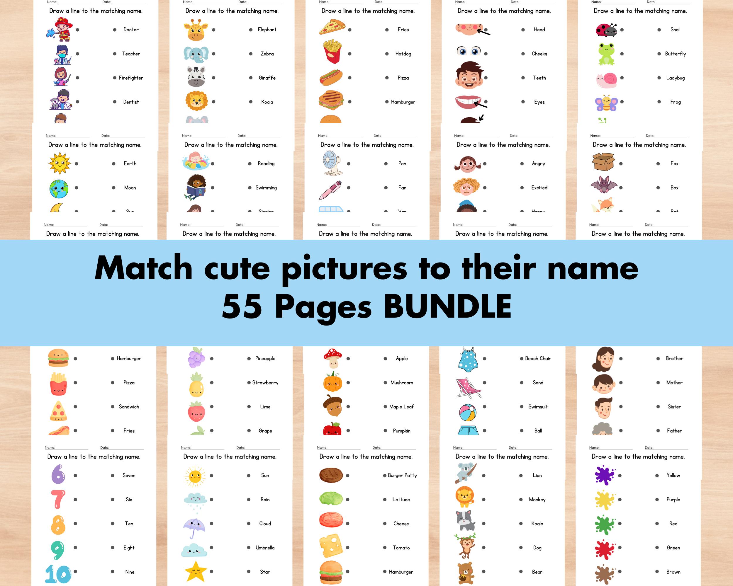 55 Printable Matching Names Worksheets, Match the Picture, Kindergarten ...