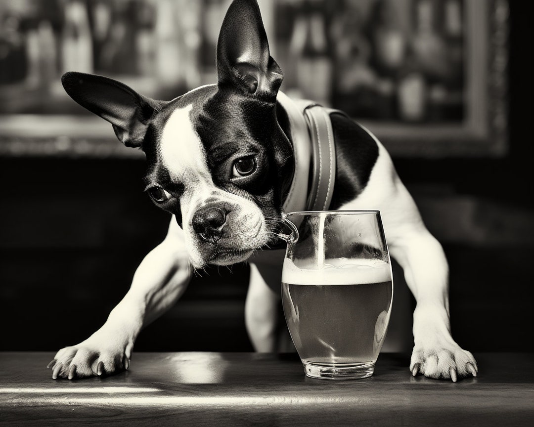Custom Dog Wall Art, Funny Drunk Dog in Bar, Dog Drinking Beer, Grumpy ...