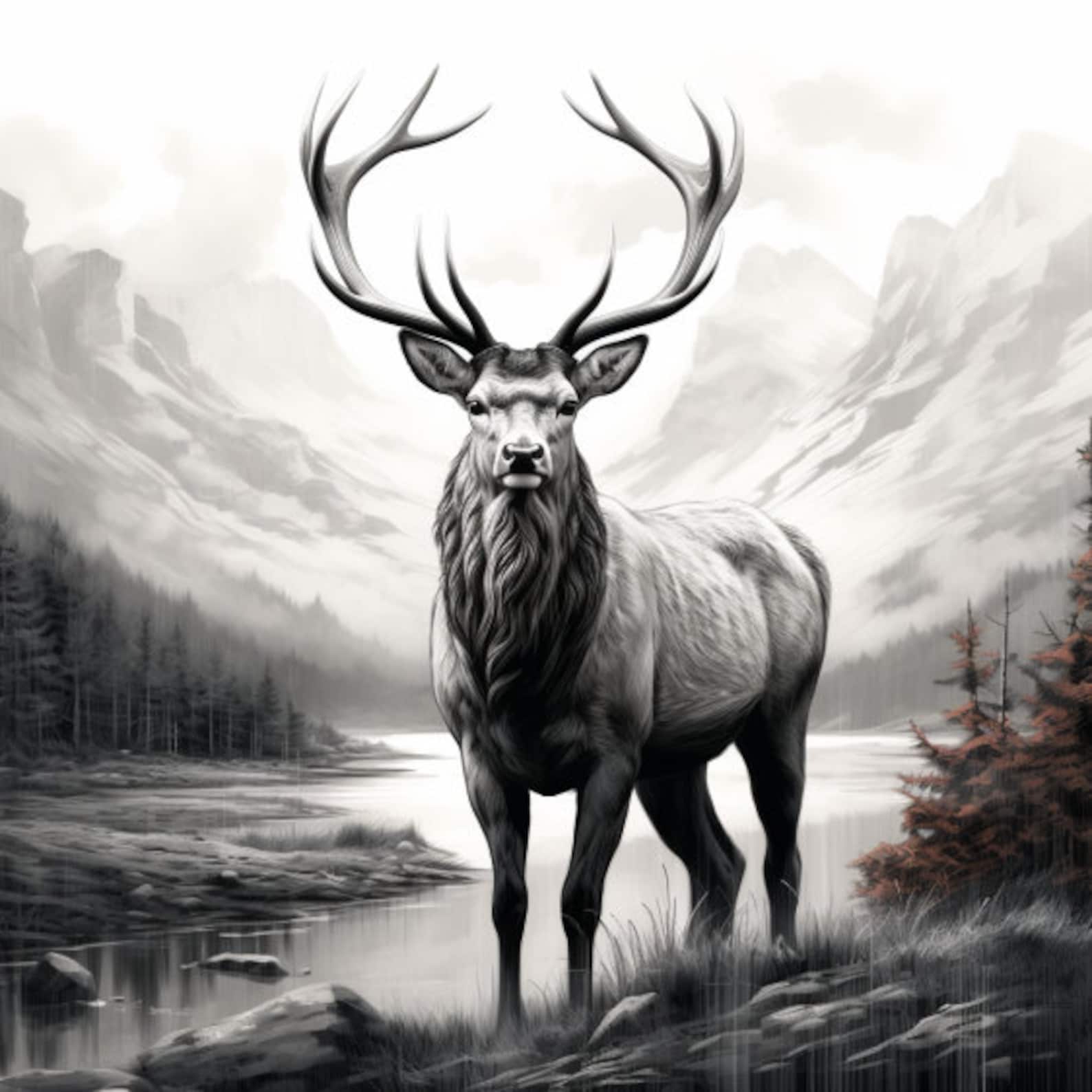 Red Stag Wall Art, Printable Stag Deer, Buck Deer, Scottish Stag, Deer ...