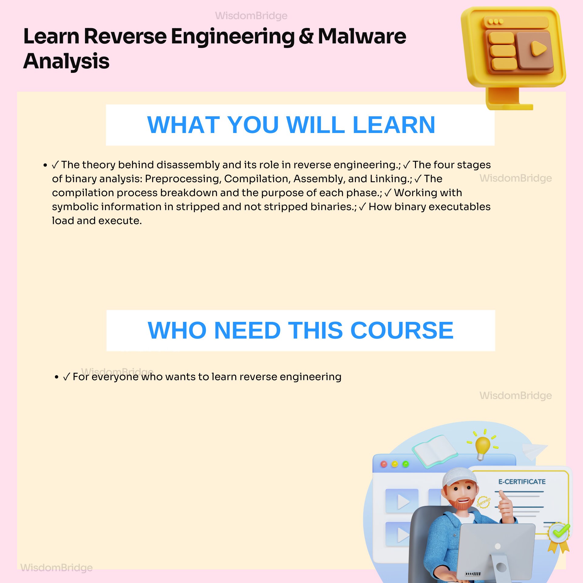 Learn Reverse Engineering And Malware Analysis Etsy