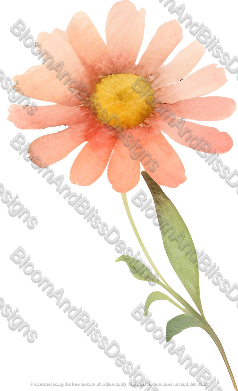 Spring and Summer Clipart - Flowers, Plants and Greenery Watercolor ...