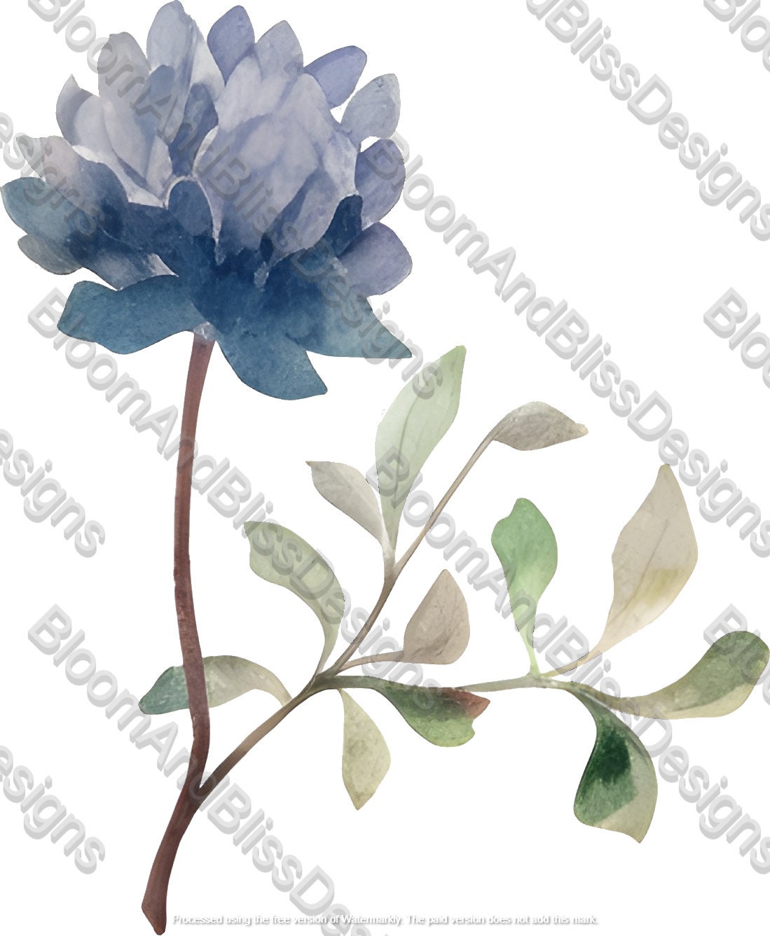 Spring and Summer Clipart - Flowers, Plants and Greenery Watercolor ...