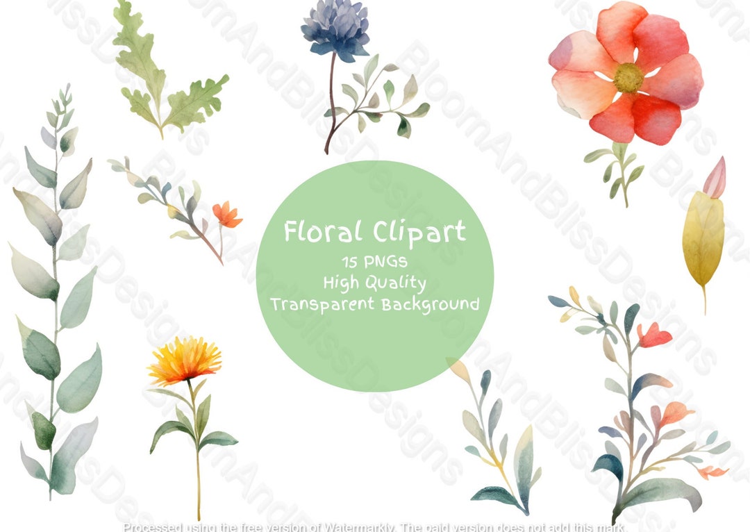 Spring and Summer Clipart - Flowers, Plants and Greenery Watercolor ...