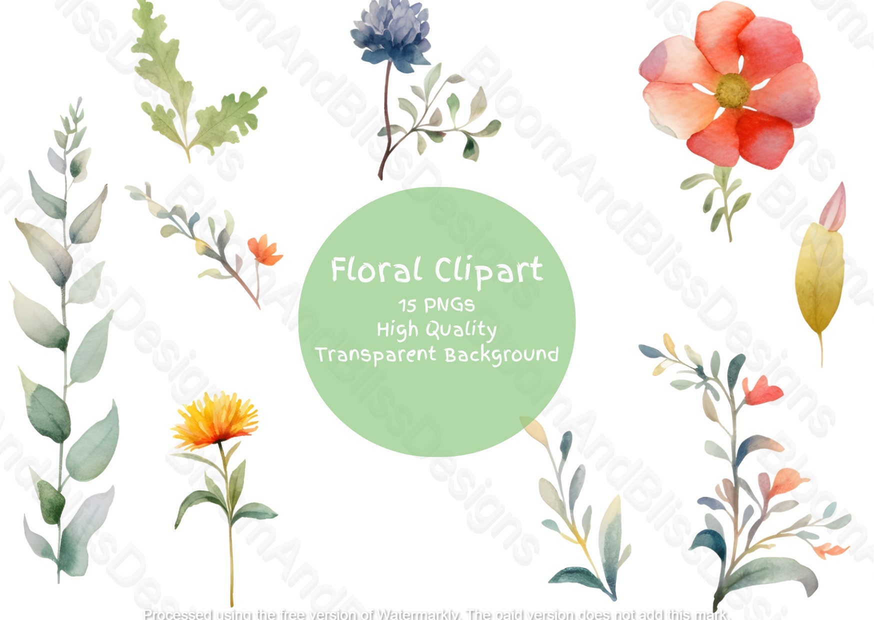 Spring and Summer Clipart - Flowers, Plants and Greenery Watercolor ...