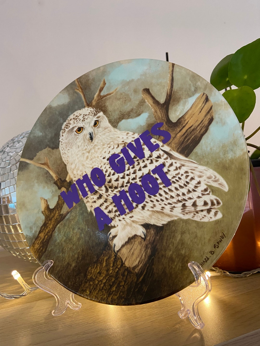Funny Snowy Owl Plate: Upcycled Kitsch Home Decor - Etsy