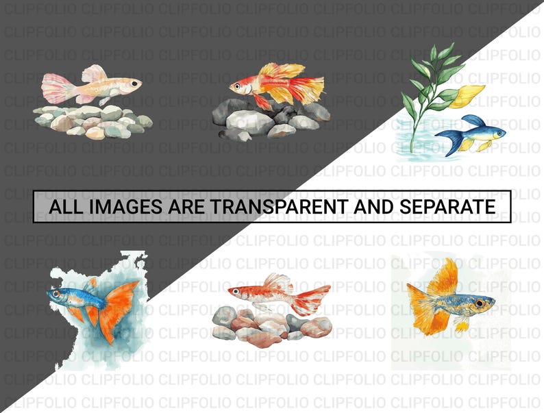 Guppy Clipart Bundle: 102 Aquarium Fish Art (SVG & PNG) - Etsy