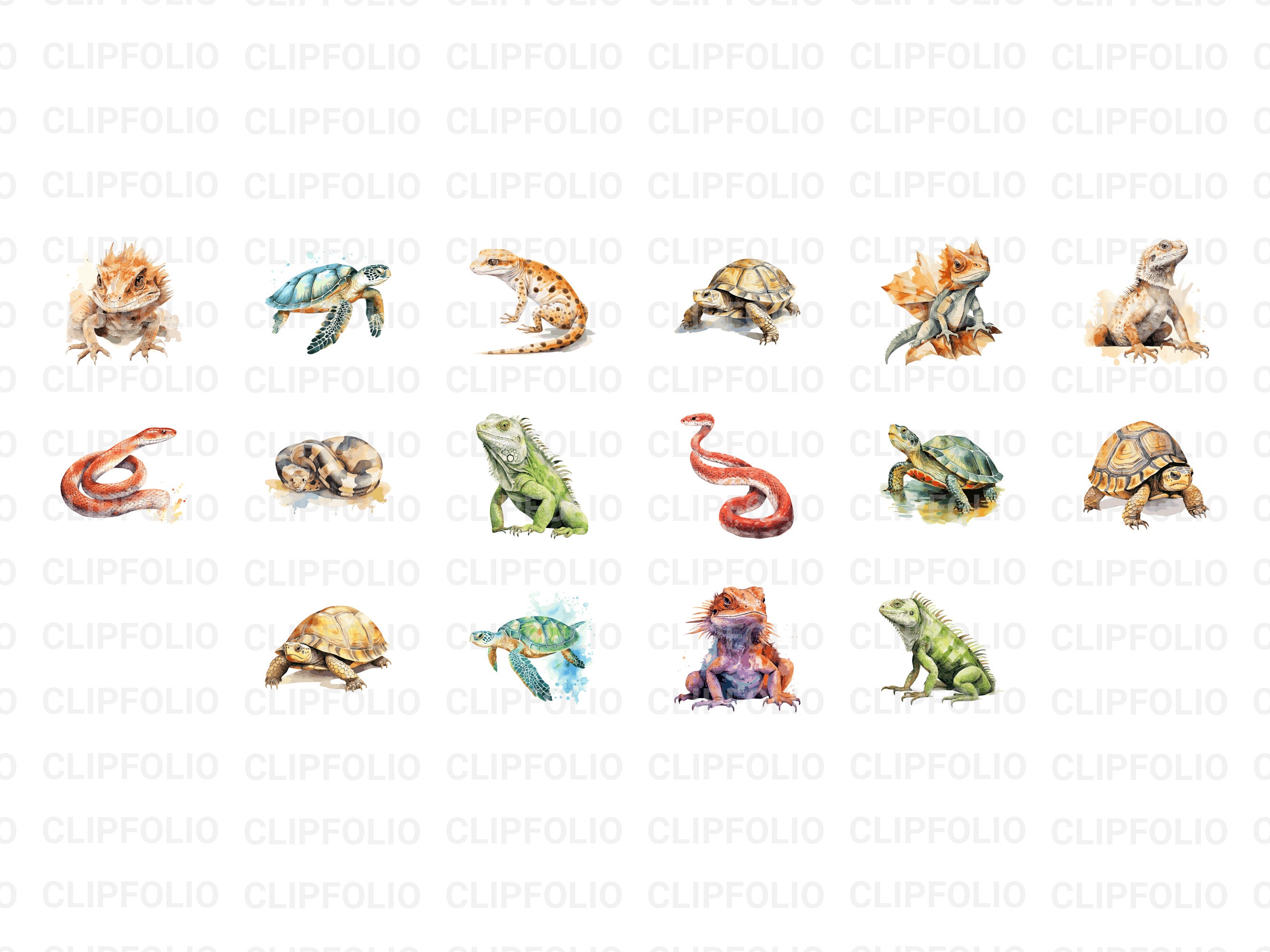 Reptile Clipart Bundle: 80 Realistic Designs (SVG & PNG) - Etsy