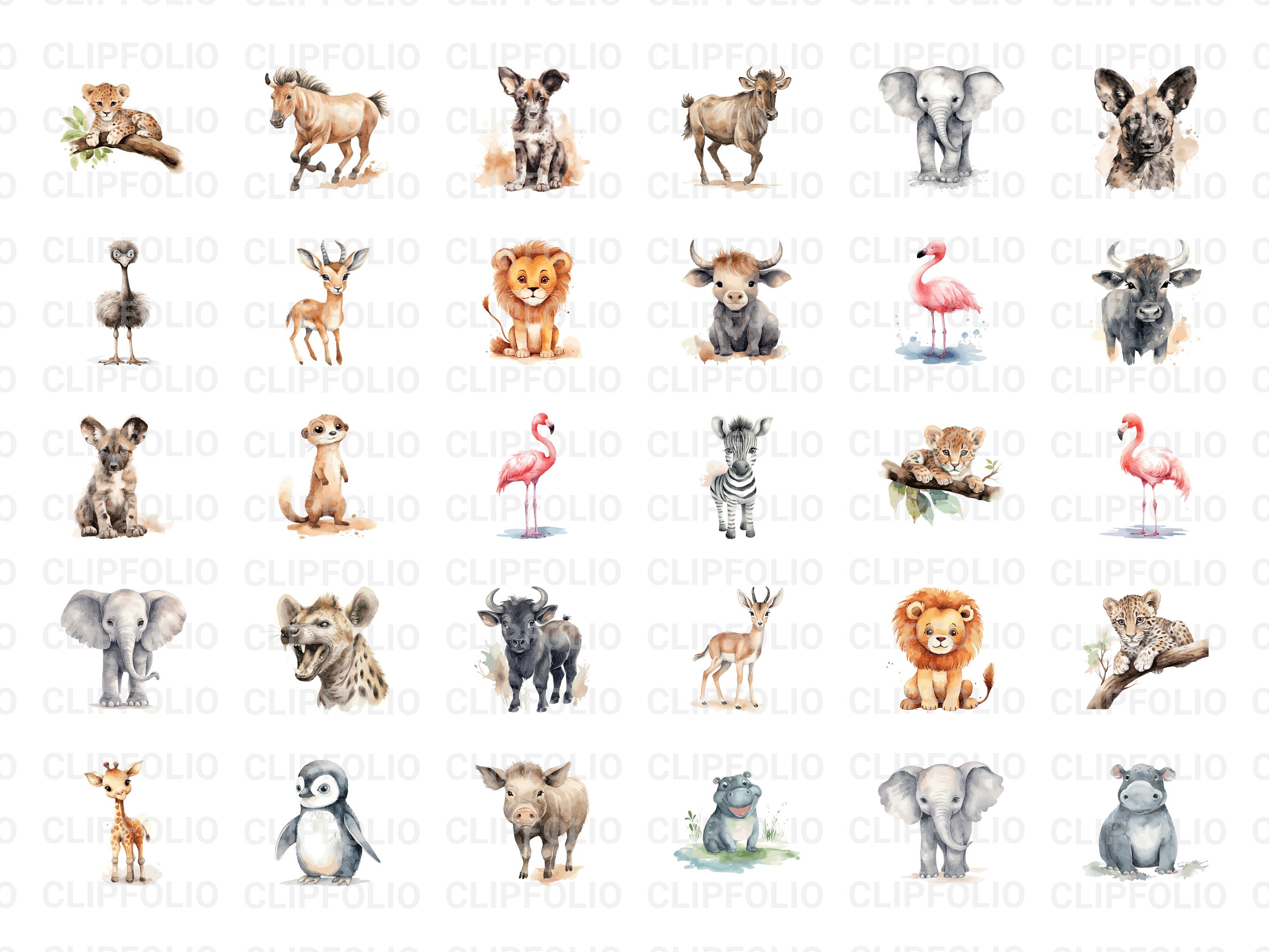 Cute and Adorable Safari Clipart Bundle 80 Designs SVG & - Etsy