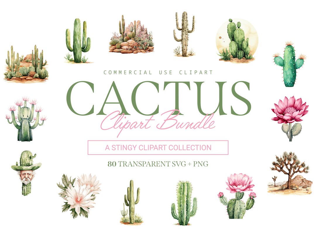 Cactus Clipart Bundle: 80 Vibrant Designs (SVG & PNG) - Etsy