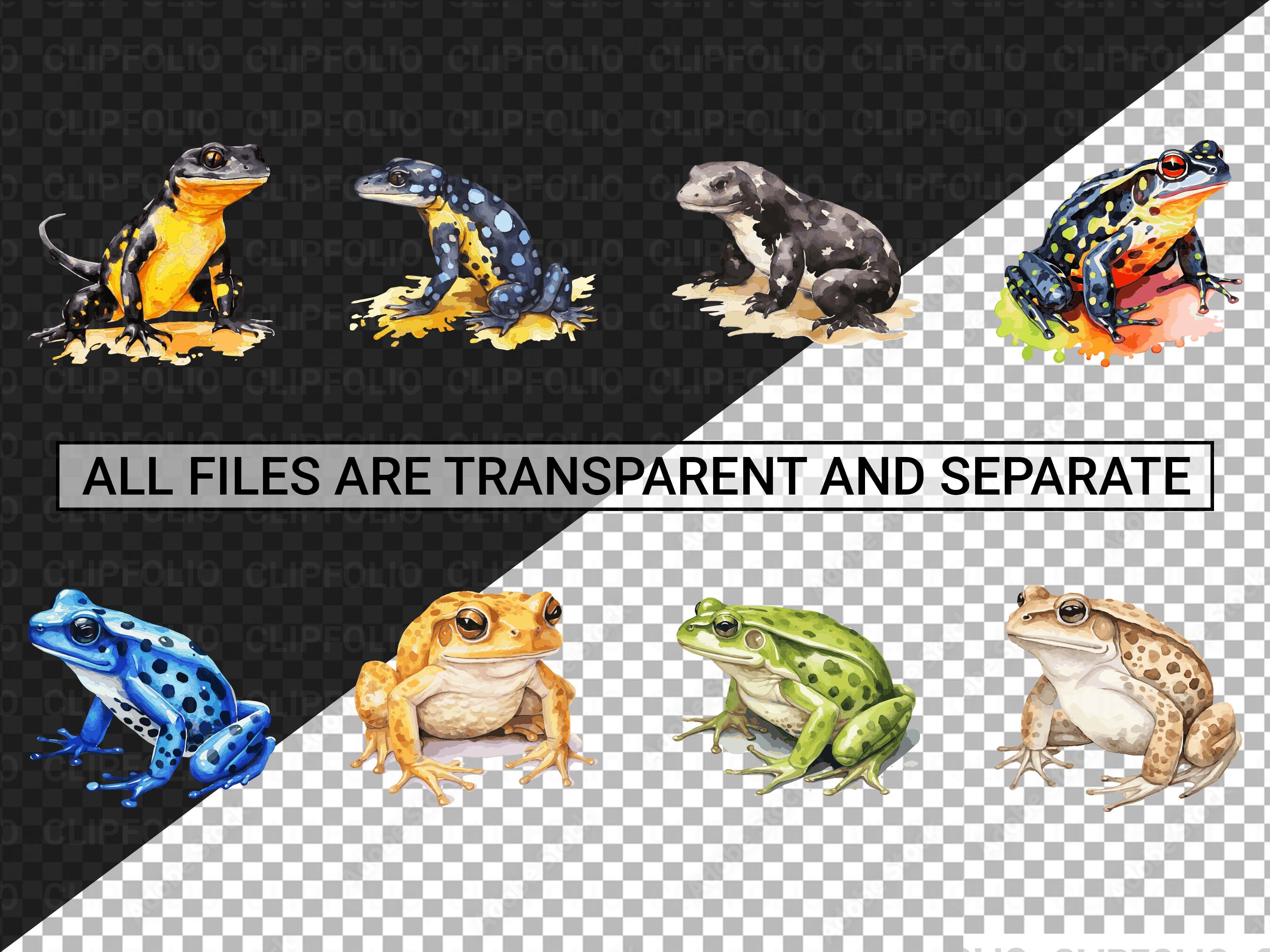 Amphibian Clipart Bundle 80 Designs SVG & PNG High Resolution Diverse ...