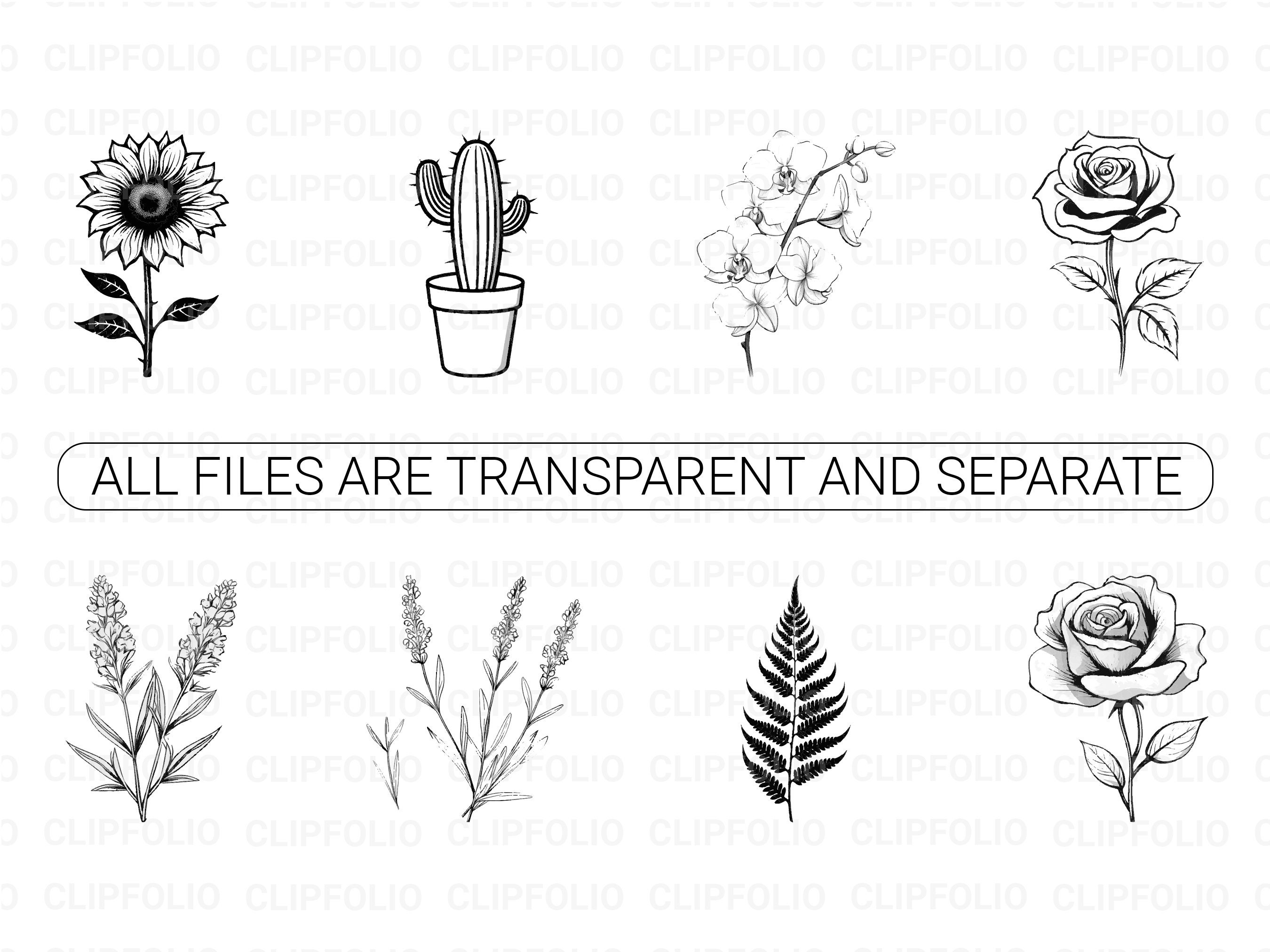 Plant Clipart Bundle - 49 Designs | SVG & PNG | High Resolution ...