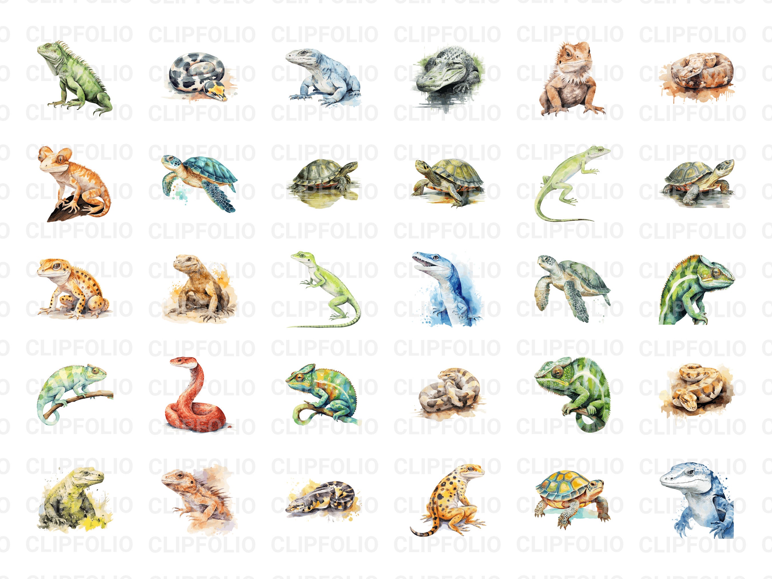 Reptile Clipart Bundle: 80 Realistic Designs (SVG & PNG) - Etsy